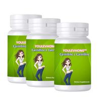 China YOULEVHONG L Carnitine Tartrate Capsules 1000mg Per Serving 240 Count Non GMO Gluten Free Supplement for sale