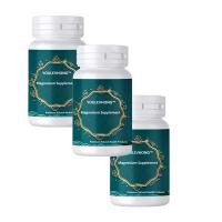 China YOULEVHONG Magnesium Supplement Capsules 500mg Supports Bone Muscle Health Nighttime Relaxation for sale