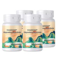 China Magnesium Bisglycinate Gummies 100mg with Melatonin Vitamin B6 for Calm Mood Gluten Free for sale