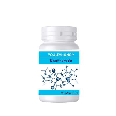 China Nicotinamide B-3 500 mg 100 Caps Flush-Free Niacin Supplement for Skin Cell Health Vegetarian for sale