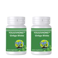 China Ginkgo Biloba Extract 50 mg Supplement for Brain Health Memory Support 4000 mg Dry Herb Equivalent for sale