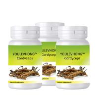 China Cordyceps Sinensis Extract Capsules 40% Polysaccharides 8% Mannitol Immune Support Vegan Supplement for sale