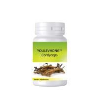 China Cordyceps Sinensis Extract Capsules 40% Polysaccharides 8% Mannitol Immune Support Vegan Supplement for sale