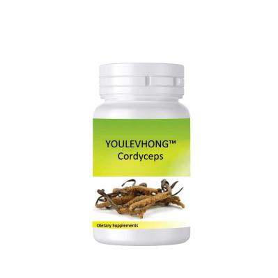 China Cordyceps Sinensis Extract Capsules 40% Polysaccharides 8% Mannitol Immune Support Vegan Supplement for sale