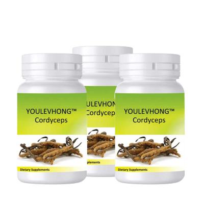 China Organic Cordyceps Mushroom Extract 500mg Capsules Immune Support Supplement for sale