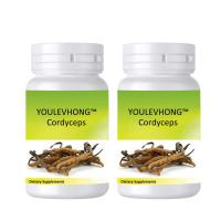 China Organic Cordyceps Mushroom Extract 500mg Capsules Immune Support Supplement for sale
