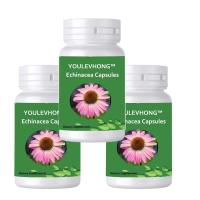 China Echinacea 400mg Immune Support Supplement Non-GMO Gluten Free 100 Capsules for sale