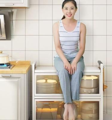 China Tenglei 60kg Capacity Carbon Steel Kitchen Bowl Storage Rack for sale