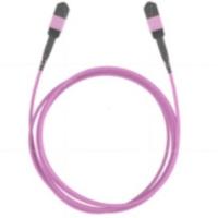China OM3 OM5 MPO Fiber Optic Cable Trunk Mpo Patch Cord Data Center Patch Cords for sale