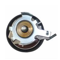 China SGS 31330784 Timing Belt Kit For S60 V60 2011-2018 Auto Parts for sale