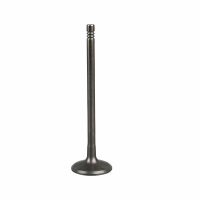 China V60 XC40 XC70 Auto Intake Valve 31375630 TRW Engine Component for sale