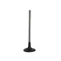 China Auto Parts 31422384 Intake Valve B4164Tx For V40 XC40 S60 S80 for sale