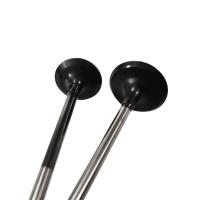 China Auto Parts 31422384 Intake Valve B4164Tx For V40 XC40 S60 S80 for sale