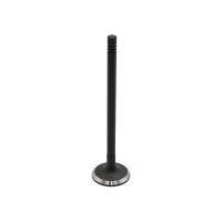 China Engine Exhaust Valve 9454610 For S60 V70 XC70 Models for sale
