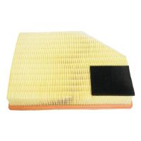 China Engine Air Filter 30636551 High Performance Filtration For S60 V70 XC70 for sale