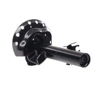 China Suspension Strut 31317798 Right Front Fits S60 Sedan for sale