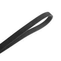 China Drive Belt LR079263 for Land Rover Range Rover Velar L560 for sale