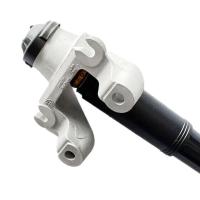 China Rear Right Shock Absorber 31658383 S60 XC60 Automobile Parts for sale