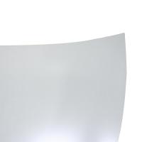 China Womala Aluminum Hood Bonnet Panel Cover 1493370-EO-A-P for Model Y Front for sale