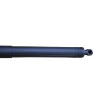 China Womala Liftgate Trunk Strut Shock Left 1500601-00-A for Model Y for sale