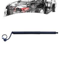 China Womala Liftgate Trunk Strut Shock Left 1500601-00-A for Model Y for sale
