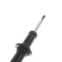 China Suspension Strut Shock Absorber 31316851750 for X3 X4 X5 X6 for sale