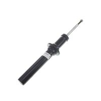 China Suspension Strut Shock Absorber 31316851750 for X3 X4 X5 X6 for sale