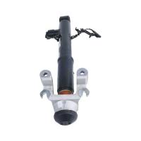 China Rear Shock Absorber 31340540 for XC70 2008 and later XC60 up to 2017 for sale