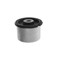 China Front Lower Control Arm Bushing Inner Rear 95534124262 for Cayenne 955 for sale