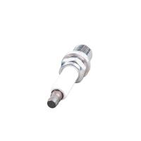 China Spark Plug 95817022190 For Cayenne 958 Macan 95B Engine Ignition Part for sale
