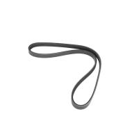 China Womala  Drive Belt  24100557 Drive Belt Component for Auto Parts S40 S60 V50 for sale