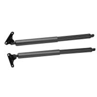 China Womala Hatch Lift Support OE A1647400545 for Mercedes Benz GL450 for sale