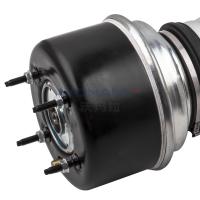 China Womala Front Air Spring & Strut for Jaguar C2C41339 Air Suspension Shock Absorber for sale