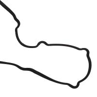 China Womala  Valve Cover Gasket  LR007657 for Land Rover Range Rover for sale