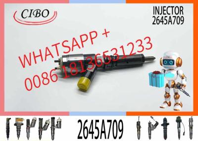 China High-Quality Fuel Injector 2645A709 282-0490, Durable Materials, Ensure Stable Vehicle Oation for sale