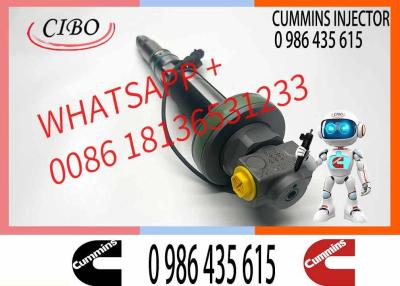 China High Quality QSK19 Diesel Fuel Injector Injection Valves Part Numbers 2867148 2881089 0 986 435 613 0 986 435 616 for sale