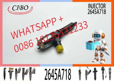 China 320d Diesel Inyector Common Rail Fuel Injector 292-3780 2923780 2645A718 for C6.6 Excavator for sale