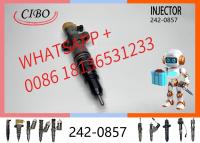 China original 242-0857 Common Rail Diesel Fuel Injector for  C9 Engine 330D 336D Excavator HEUI Injector Assembly 2420857 293-4072 254-4340 267-3360 original new injector for sale