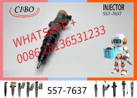 China original 557-7637 Common Rail Fuel Injector for  C9 C13 Engine E330D E336D 330D 336D 340D Excavator Diesel Injector Replacement for OEM 10R-7222 328-2574 original new injector for sale