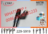 China original 229-5919 Diesel Fuel Injector Assy for C15 C13 C18 3406E Engine EUI Injector Excavator Spare Parts 3740750 374-0750 6180750 211-3027 10R-1000 OEM Replacement original new injector for sale