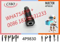 China original 4P9830 Diesel Fuel Injection Pump Plunger Element Barrel for 3304 3306 Diesel Engine Replacement for OEM 4P-9830 1W6541 1W-6541 9H5797 6N7527 7W5929 original new injector for sale