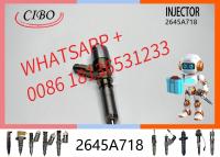 China original  Diesel Common Rail Fuel Injector 2645A718 2645A734 for C6.6 C4.4 1104D-E44TA Excavator Repair 320-0680 292-3780 new injector original new injector for sale
