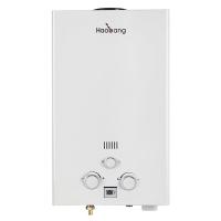 China 6L Instant Gas Water Heater Wall Mounted Tankless Shower Heater for sale