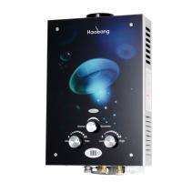 China 6L Gas Water Heater Painting Glass Panel Flue Exhaust Type for sale