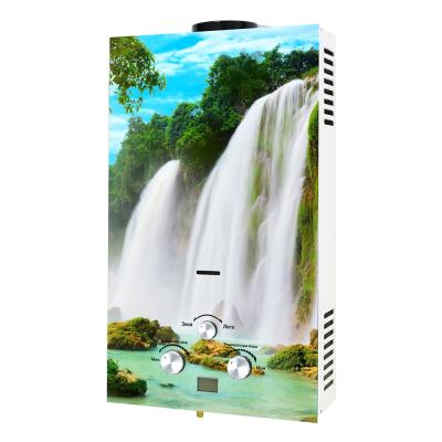China 10L Tankless Instant Gas Geyser For Shower Painting Glass Panel for sale