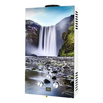 China 10L 2.6GPM Instant Gas Water Heater Flue Type Wall Mounted for sale