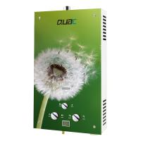 China 10 Liter Instant Tankless Gas Geyser LPG NG Type Colorful Glass Panel for sale