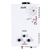 China Glass Paintings 12KW Gas Water Heater 100PCS White Flue Exhaust for sale