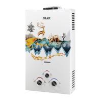 China Wholesale Flue Exhaust Type 10L 20KW Instant Gas Water Heater for sale