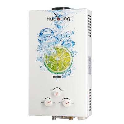 China Home Appliance Flue Exhaust Knob Led Screen Gas Water Heater 10L for sale